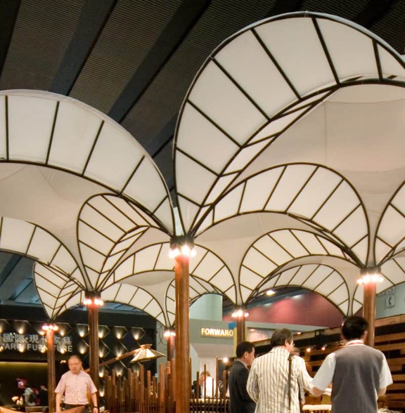 Palm Pavilion | UNDERCURRENT ARCHITECTS